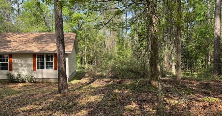 Residential Lot Clearing Company in The Florida Panhandle - EZ Acre ...