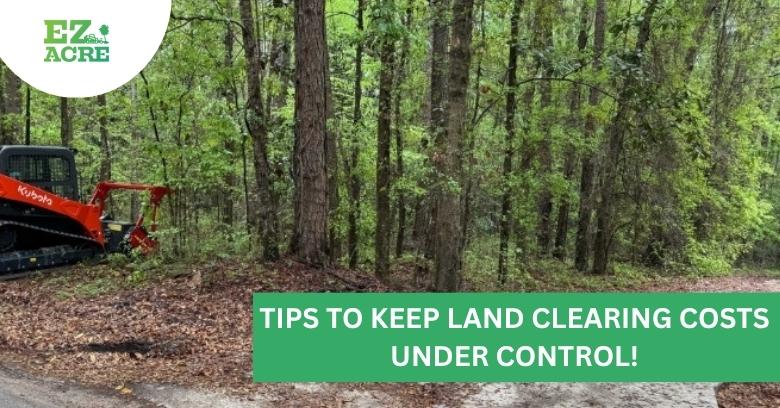 Tips to Keep Land Clearing Costs Under Control! - EZ Acre Land Clearing - Tallahassee Florida ...